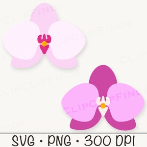 Orchid SVG, Orchid PNG, Orchid Clipart, Orchid Flower, Tropical Flower ...