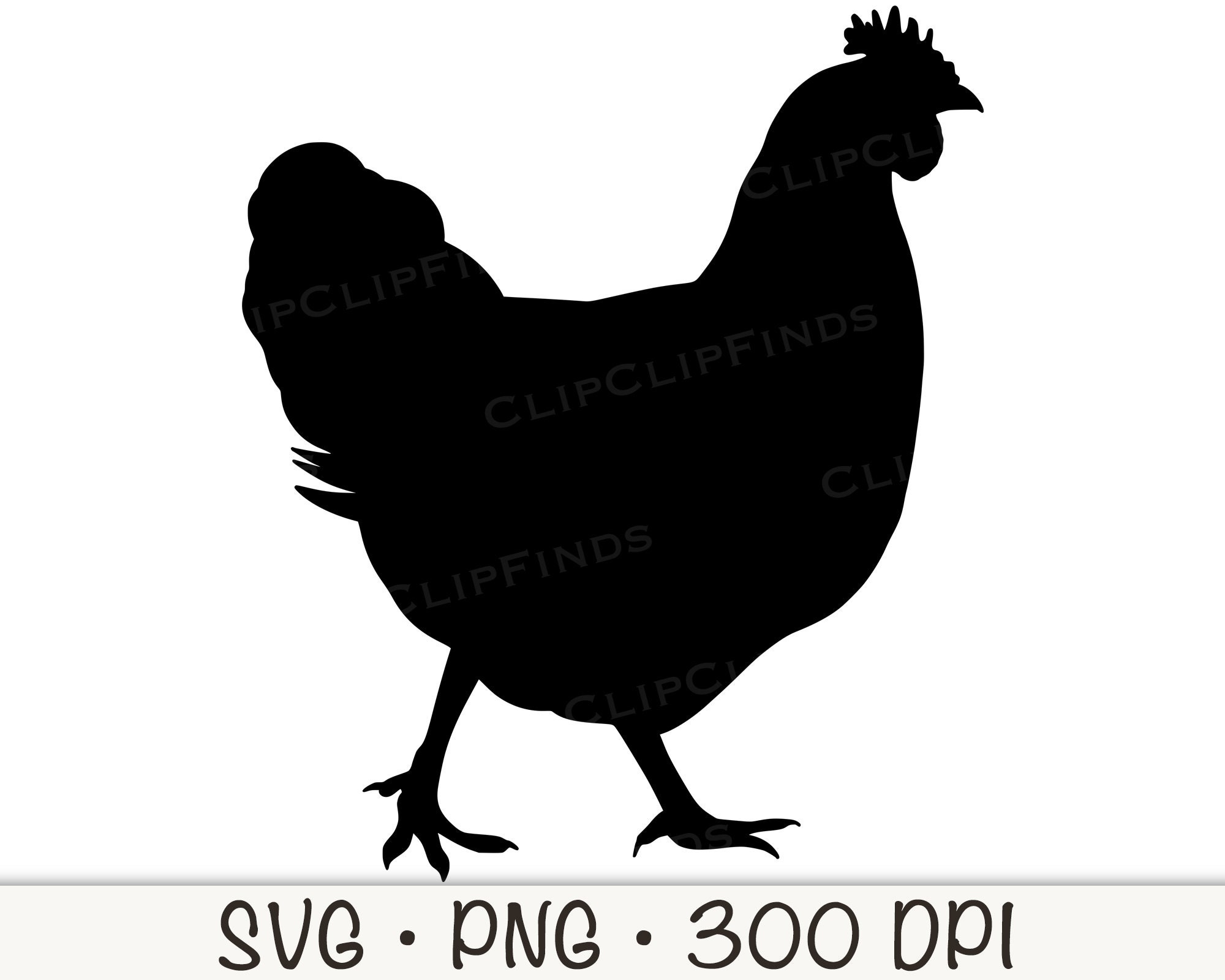 Chicken SVG Hen Vector Cut File and PNG Transparent - Etsy