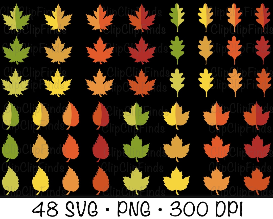 Fall Leaves, Autumn Leaves, Foliage, Thanksgiving, SVG, PNG, Clip Art ...