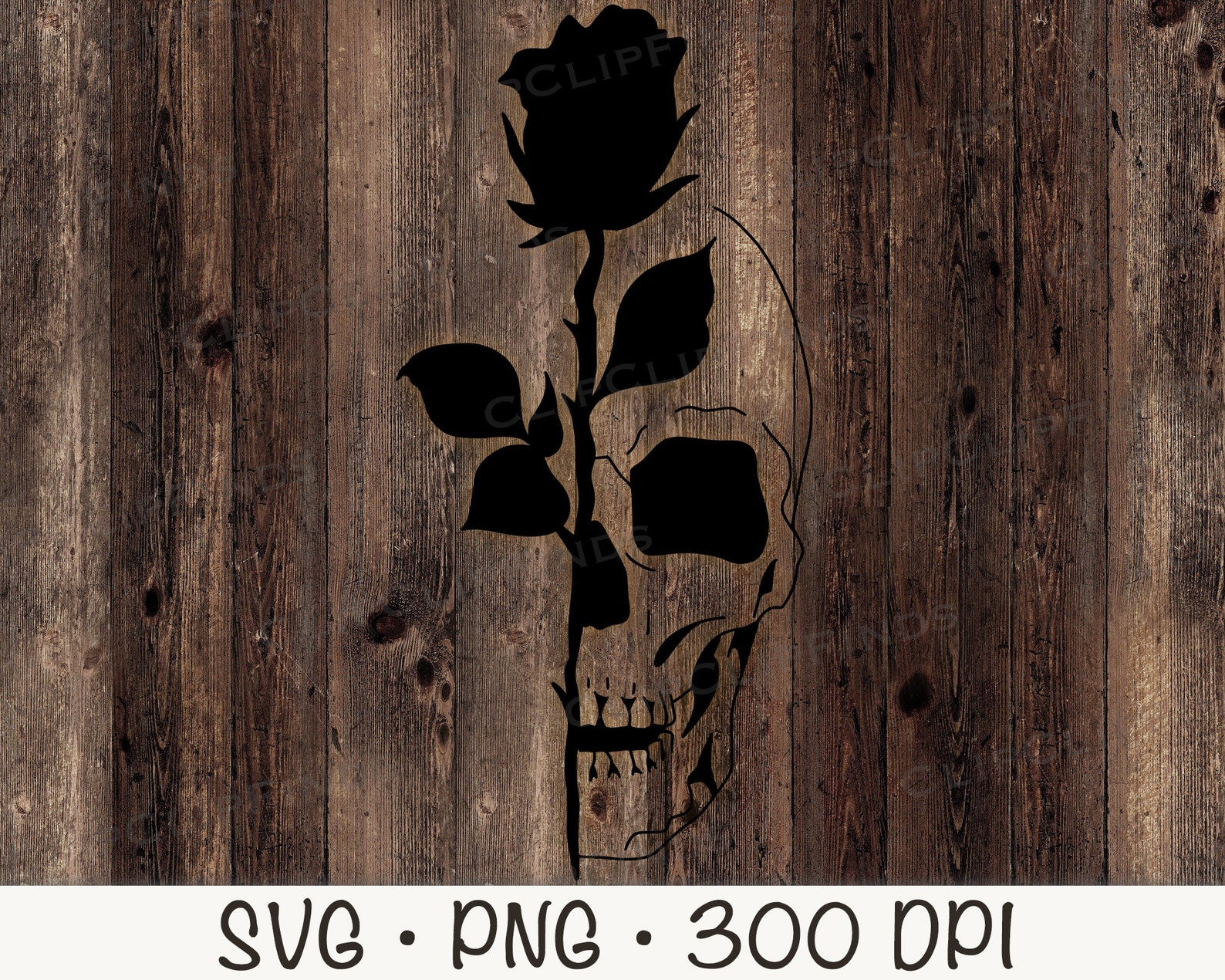 Skeleton Skull With Rose SVG File and PNG Transparent Background ...