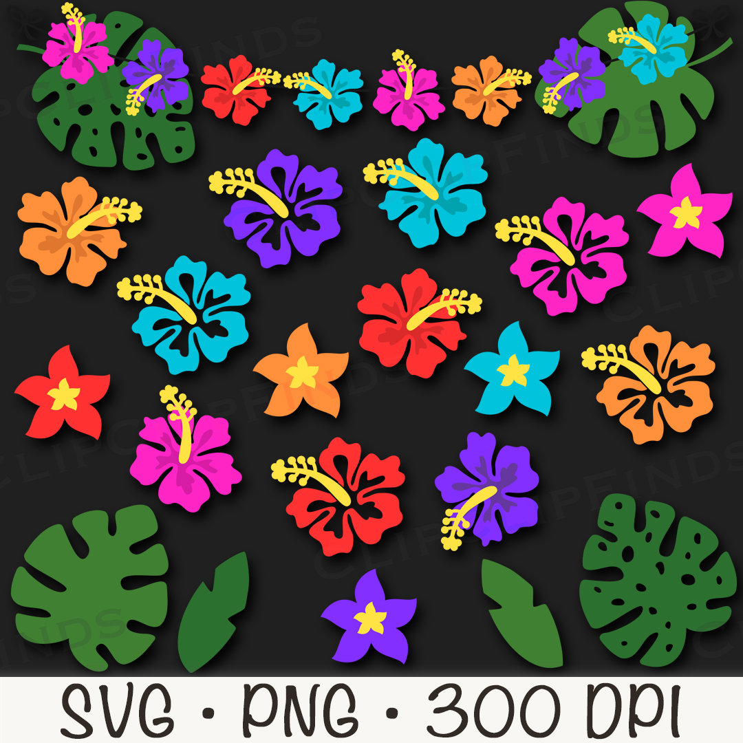 Tropical Flower Clipart: Hibiscus, Plumeria, Monstera Leaf (SVG, PNG ...
