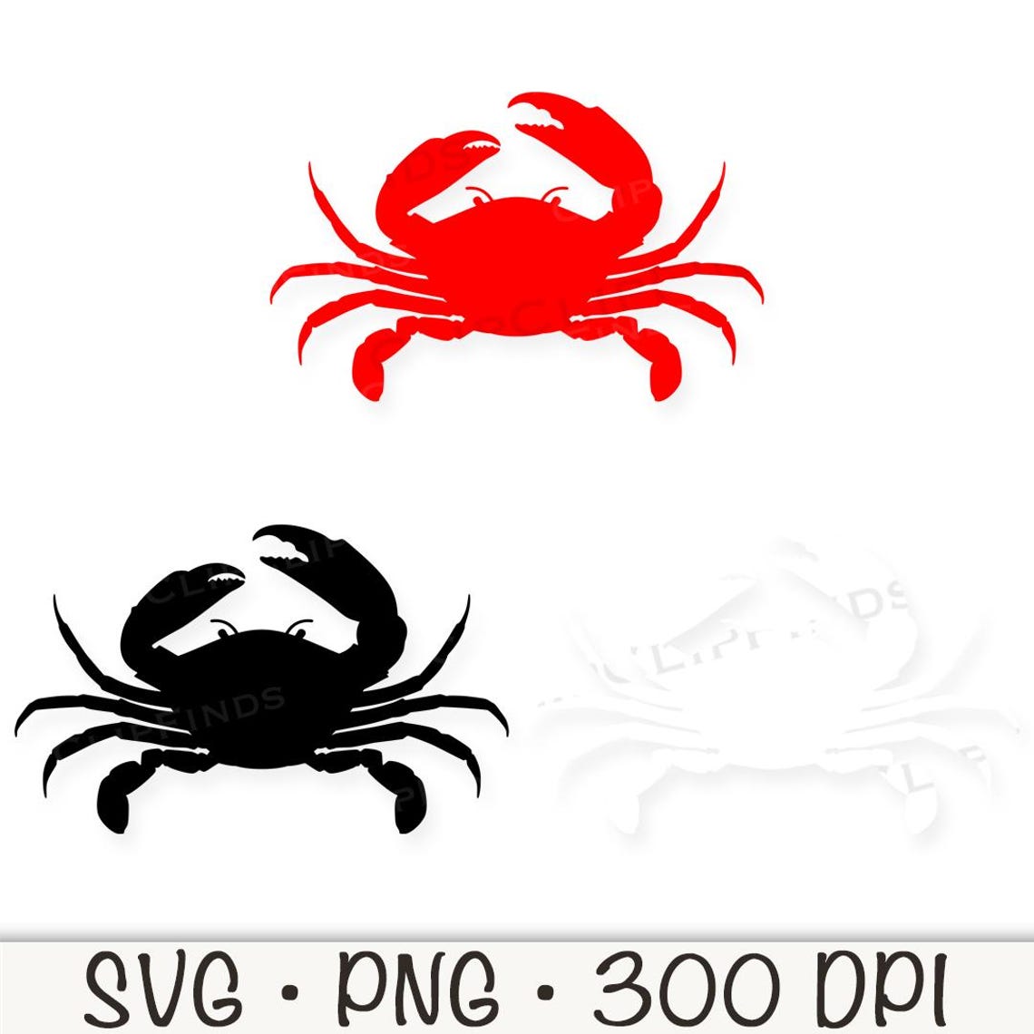 Crab SVG Vector Cut File and PNG Transparent Background, Digital ...