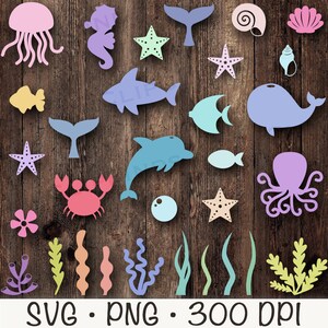 Sea Animals SVG, Sea Animal Shapes PNG, Seaweed, Algae, Dolphin, Whale ...