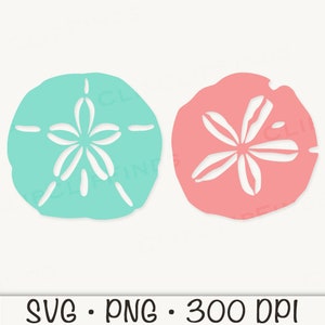 Sand Dollar SVG, Sand Dollar PNG, Sand Dollar Clipart, Seashell, Beach ...