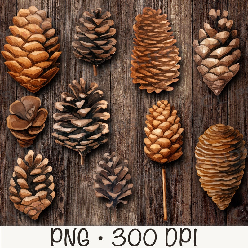 Pinecone Flower Art - Etsy