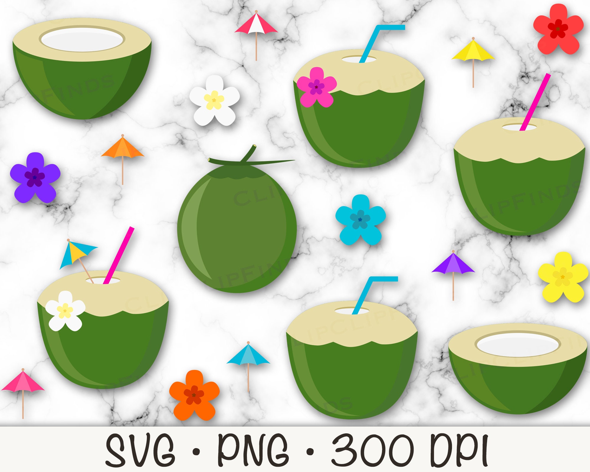 Coconut Water Clip Art