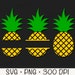 Pineapple SVG Pineapple Split Monogram Frame SVG PNG - Etsy
