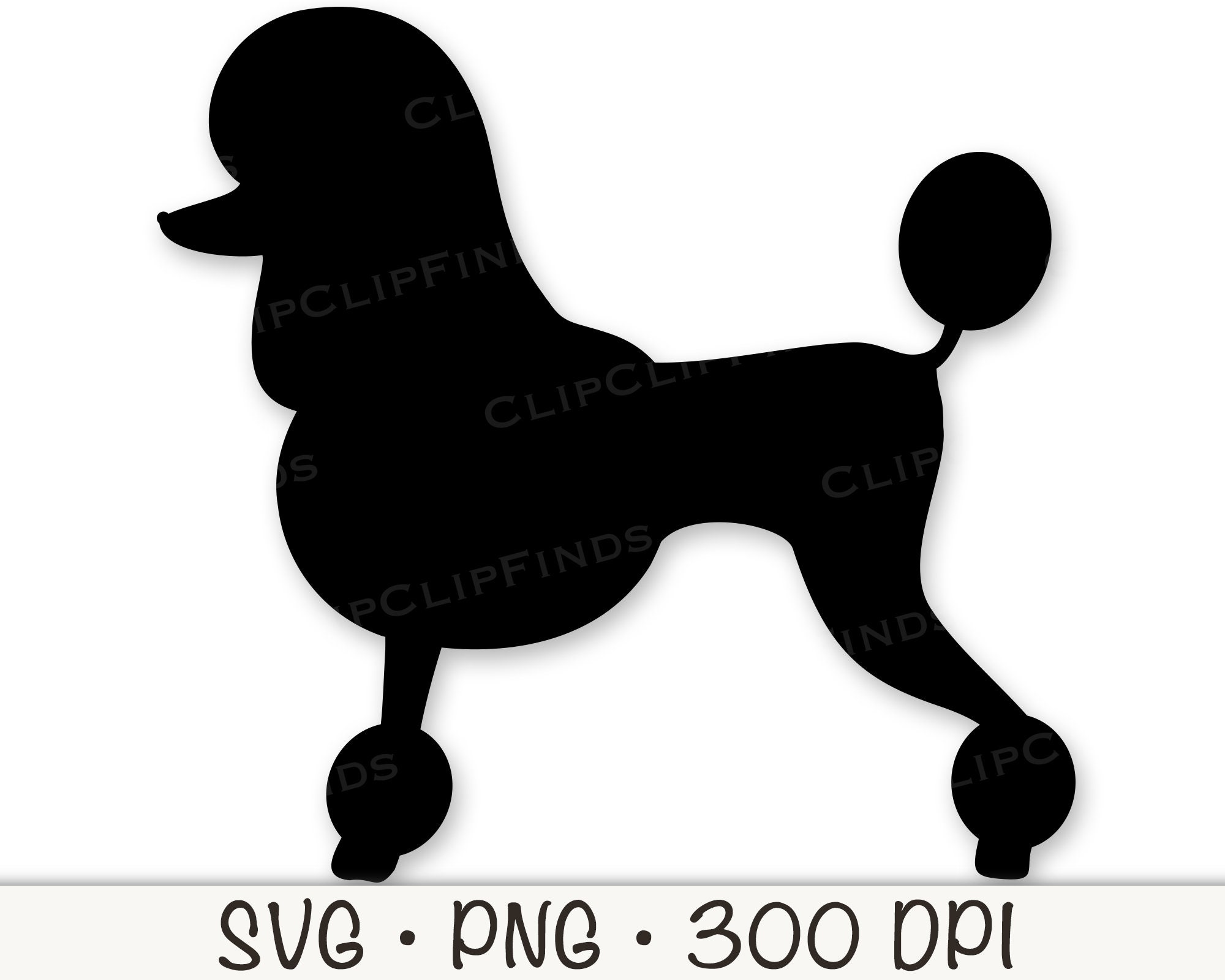 French Poodle Clip Art