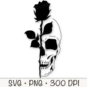 Skeleton Skull With Rose SVG File and PNG Transparent Background ...