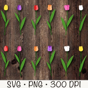 Tulip Clipart, Tulip SVG, Tulip PNG, Tulip Clip Art, Spring Flowers ...