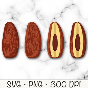 Dates SVG, Date Fruit PNG, Dates Clipart, Ramadan, Digital Download - Etsy