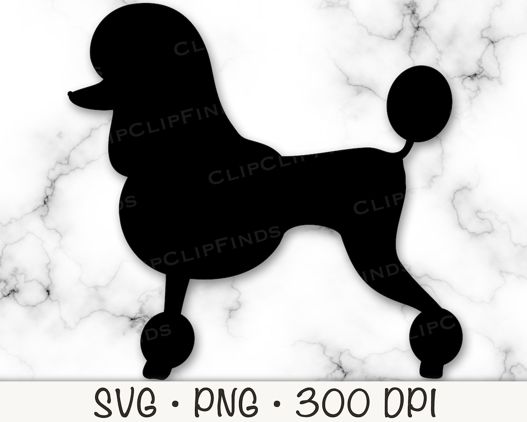 Poodle SVG, French Poodle Dog , Vector Cut File and PNG Transparent ...