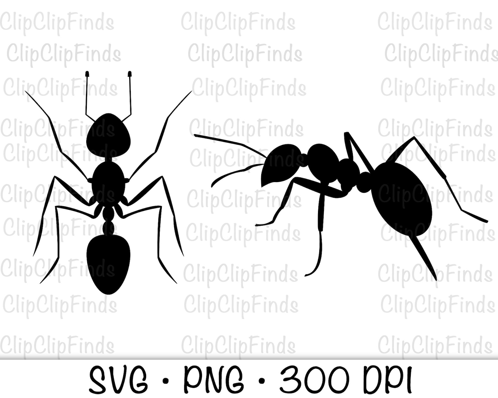 Ant SVG PNG Clipart Instant Digital Download - Etsy