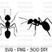 Ant, SVG, PNG, Clipart, Instant Digital Download - Etsy