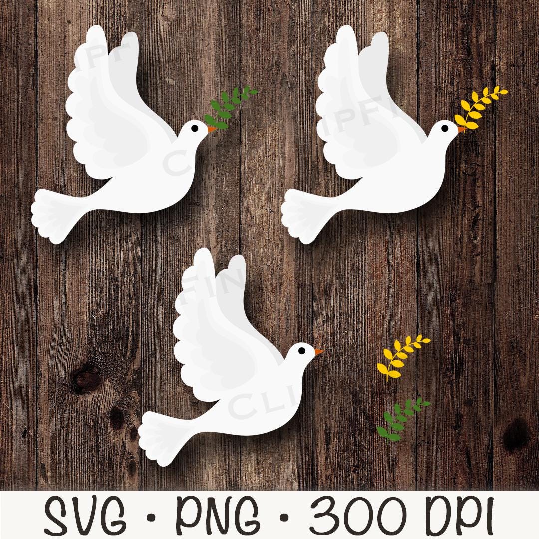 Flying Dove With Olive Branch, Peace Dove, Confirmation, First ...
