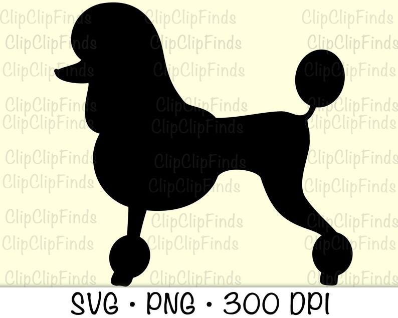 Poodle SVG French Poodle Dog Vector Cut File and PNG - Etsy Australia