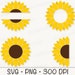 Sunflower Split Monogram SVG, Sunflower PNG Clip Art, Sunflower Frame ...