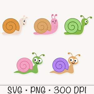 Snail Clipart, Cute Snail PNG, Snail SVG, Snail Bundle Pack, Vector ...