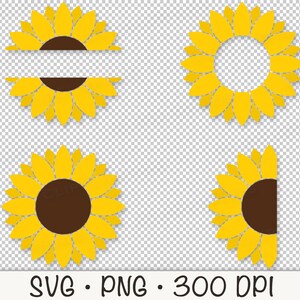 Sunflower Split Monogram SVG, Sunflower PNG Clip Art, Sunflower Frame ...