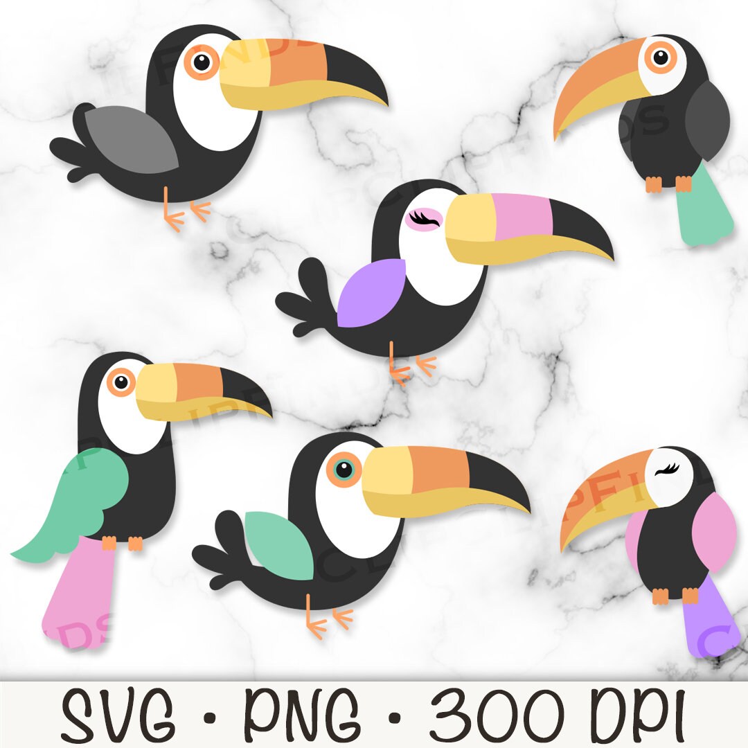 Toucan SVG, Toucan Tropical Bird PNG, Toucan Clipart, Cute Toucan ...
