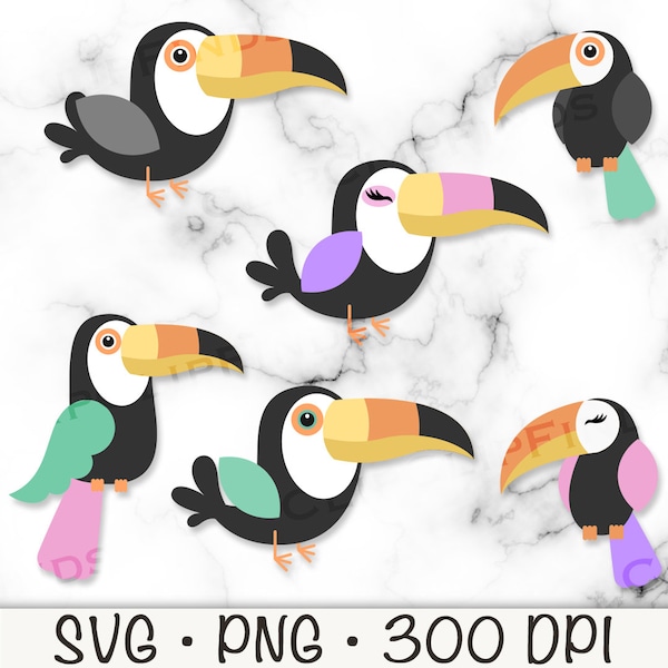 Toucan Svg - Etsy