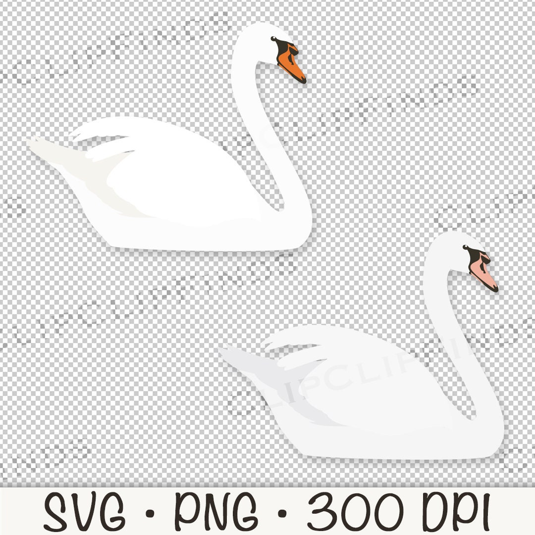 Swan SVG, Swan PNG, Swan Clipart, Digital Download - Etsy