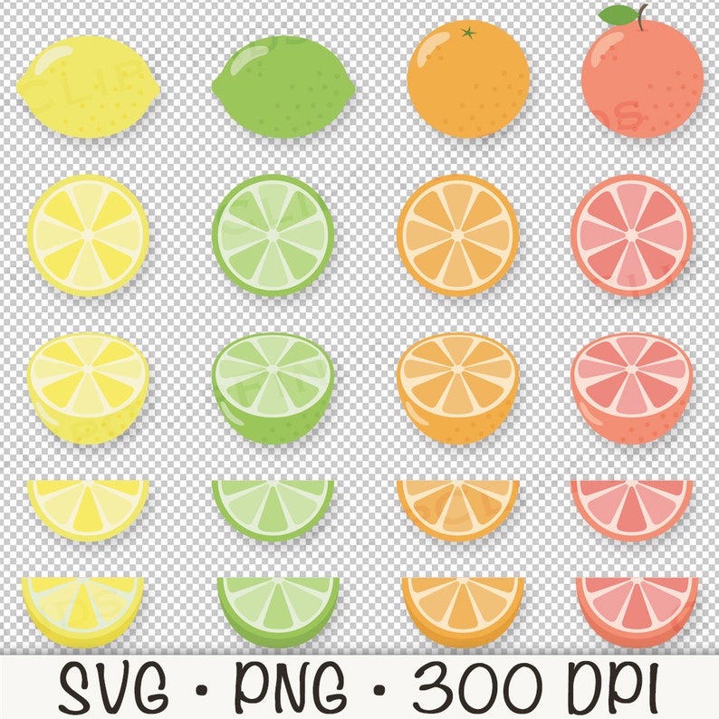 Citrus Clipart Bundle Pack, Citrus SVG, Citrus PNG, Orange, Grapefruit ...