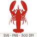 Lobster SVG, Vector Cut File and PNG Transparent Background, Instant ...