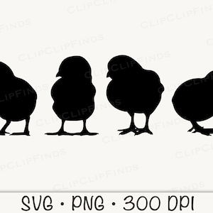 Baby Chick Silhouette SVG Vector Cut File and PNG Transparent ...