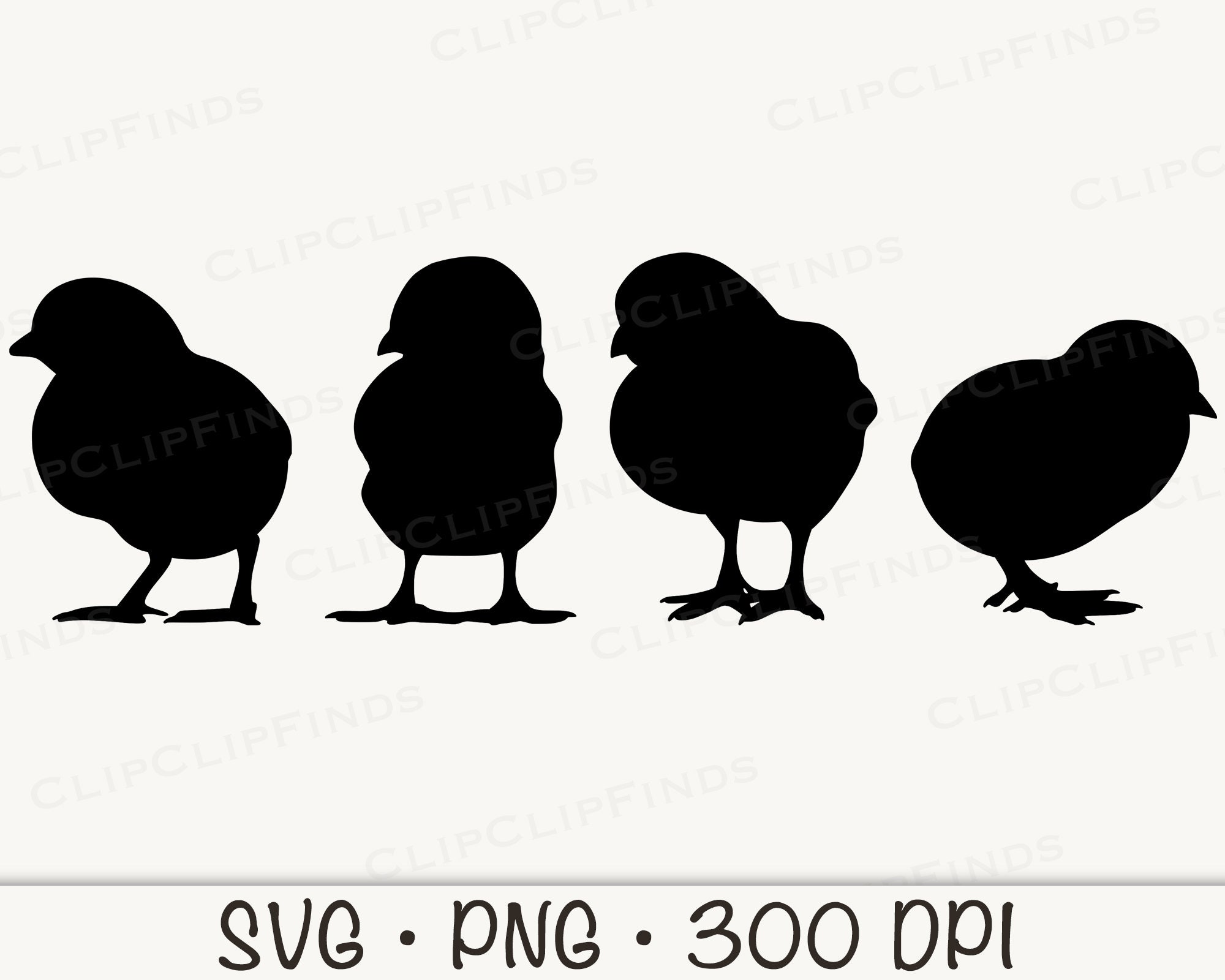 Baby Chick Silhouette SVG Vector Cut File and PNG Transparent - Etsy