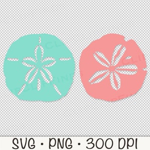 Sand Dollar SVG, Sand Dollar PNG, Sand Dollar Clipart, Seashell, Beach ...