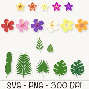Hibiscus Clipart, Hibiscus PNG, Tropical Flowers SVG, Plumeria ...