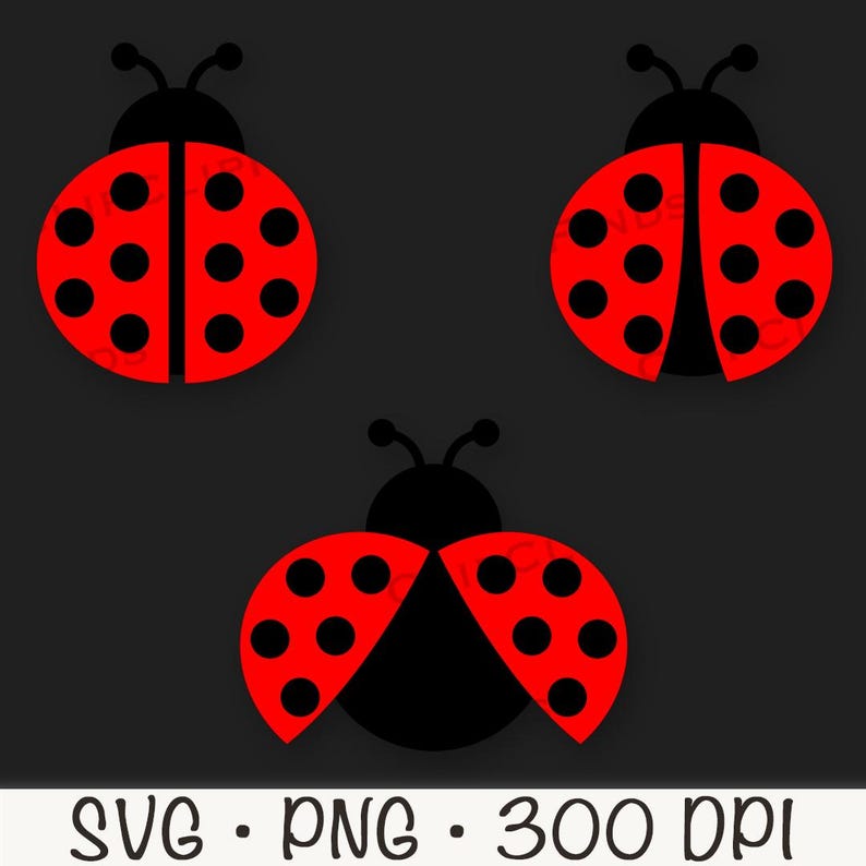 Ladybug SVG, Ladybug PNG, Ladybug Clipart, Digital Download File - Etsy