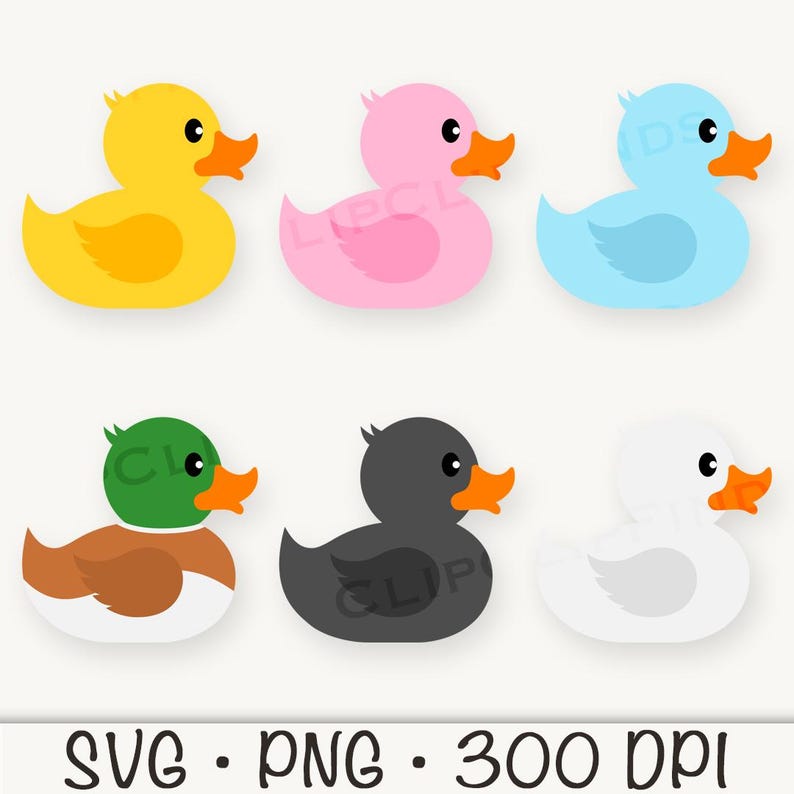 Rubber Duck Clipart: Baby Duck Pack, SVG & PNG (download File) - Etsy