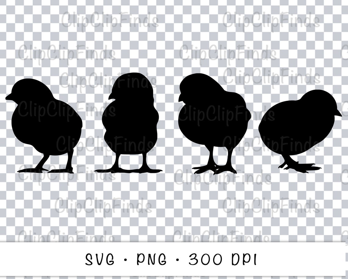 Baby Chick Silhouette SVG Vector Cut File and PNG Transparent - Etsy