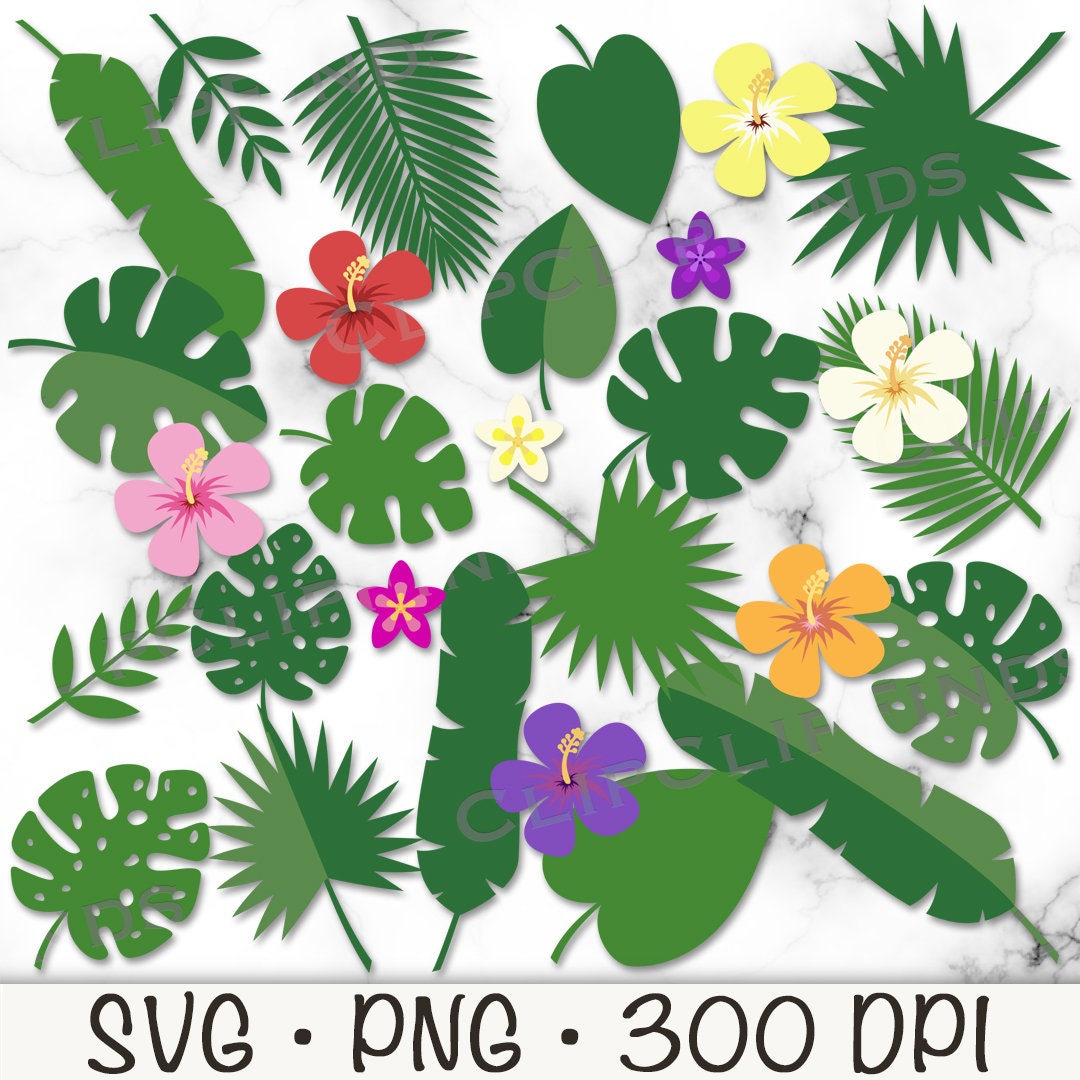 Flowers SVG, Hibiscus PNG, Tropical Flowers SVG, Plumeria, Hawaiian ...
