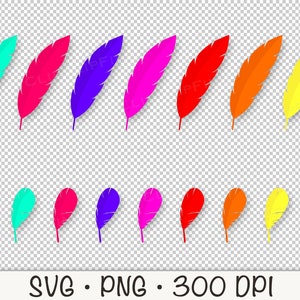 Feather SVG, Bright Colorful Feathers, Vector Cut File and PNG ...