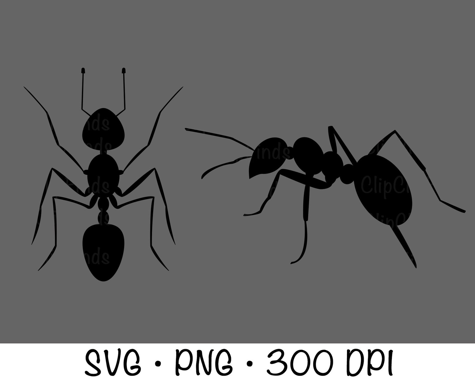 Ant SVG PNG Clipart Instant Digital Download - Etsy