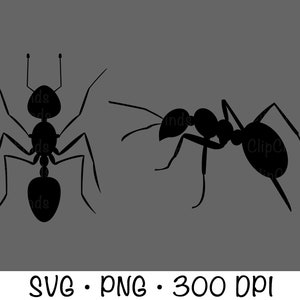 Ant, SVG, PNG, Clipart, Instant Digital Download - Etsy
