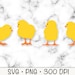 Chicks SVG, Baby Chicken PNG, Baby Chicks Clipart, Instant Digital ...
