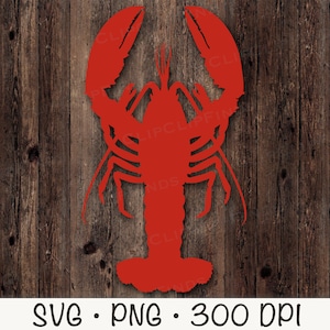 Lobster SVG, Vector Cut File and PNG Transparent Background, Instant ...