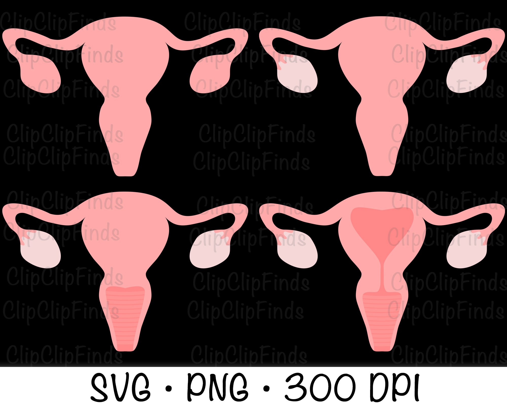 Uterus Ovaries Organ SVG PNG Clip Art Sublimation - Etsy Australia