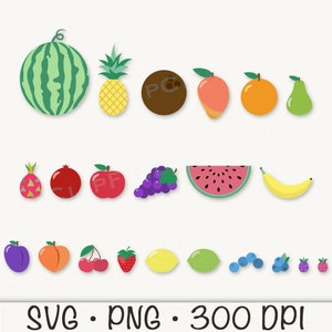 Fruit Clipart, Fruit SVG, PNG, Summer Clipart, Mango, Kiwi, Strawberry ...