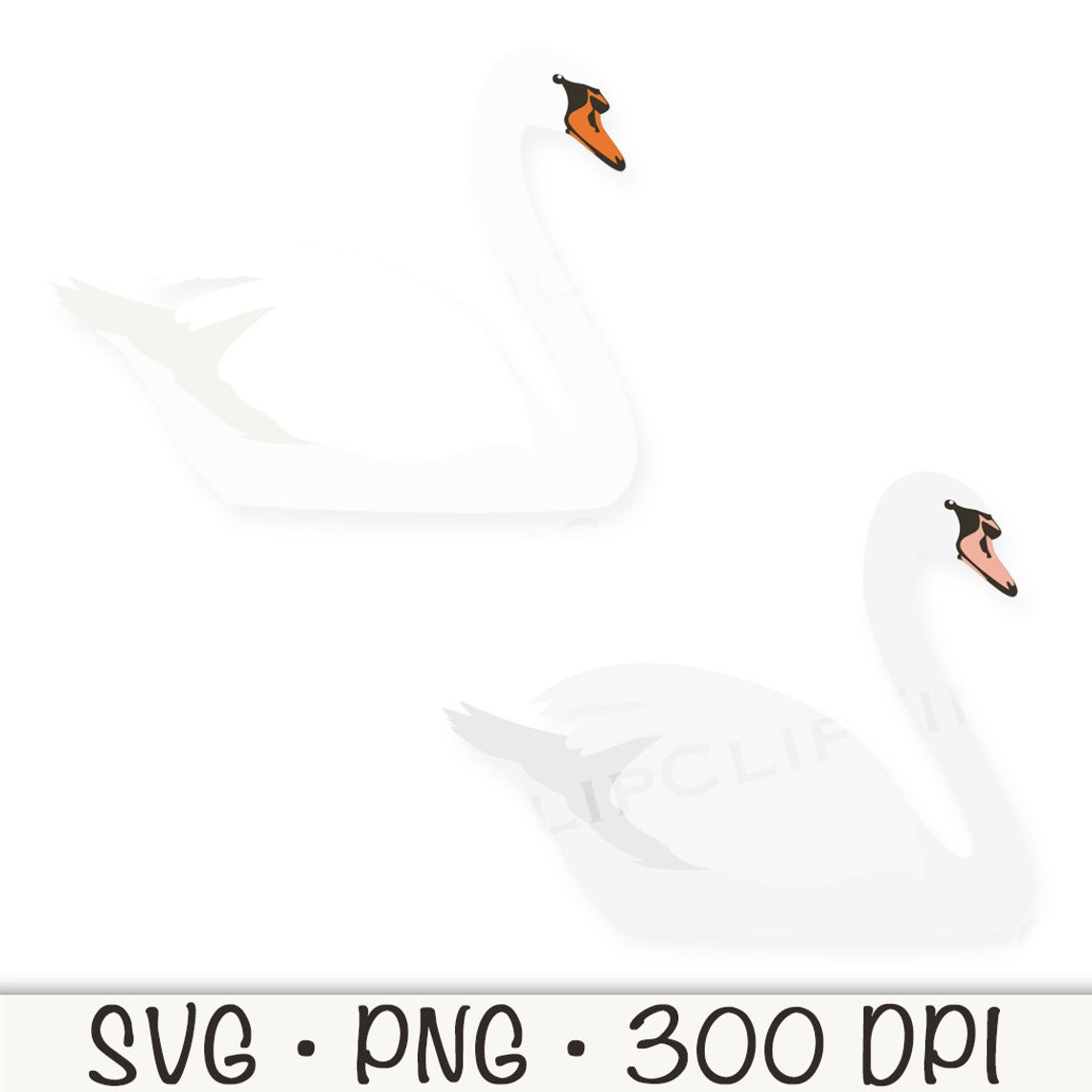 Swan SVG, Swan PNG, Swan Clipart, Digital Download - Etsy
