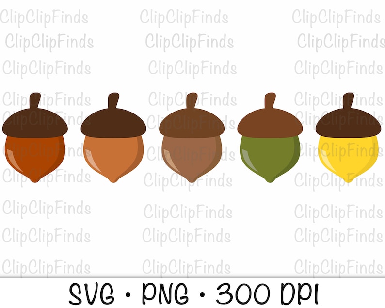 Acorn Acorn Clip Art Fall Acorn Bundle Assorted Colors - Etsy