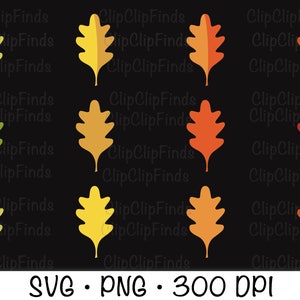 Fall Leaves, Autumn Leaves, Foliage, Thanksgiving, SVG, PNG, Clip Art ...