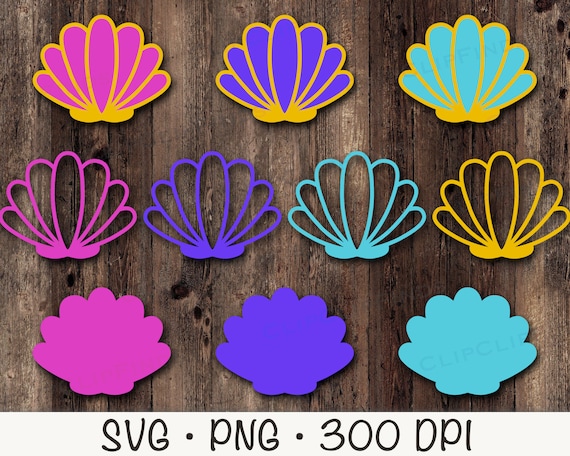 Schelpenrand Png Schelpen / Noordzeeschelpen Bodemgigant