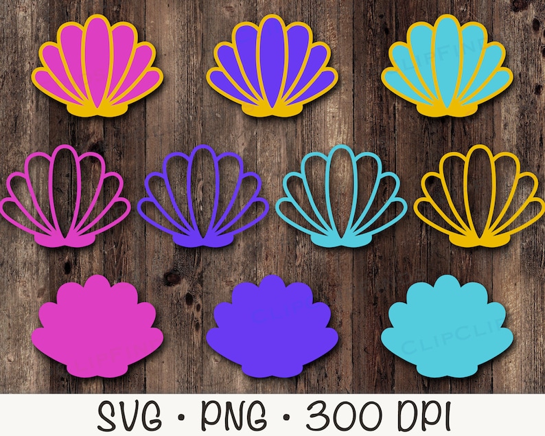Seashell SVG PNG Clipart: Colorful Sea Life Graphics (digital Download ...