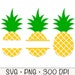 Pineapple SVG Pineapple Split Monogram Frame SVG PNG - Etsy