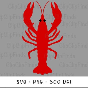 Crawfish SVG Crawfish Boil Vector Cut File Crawfish PNG - Etsy